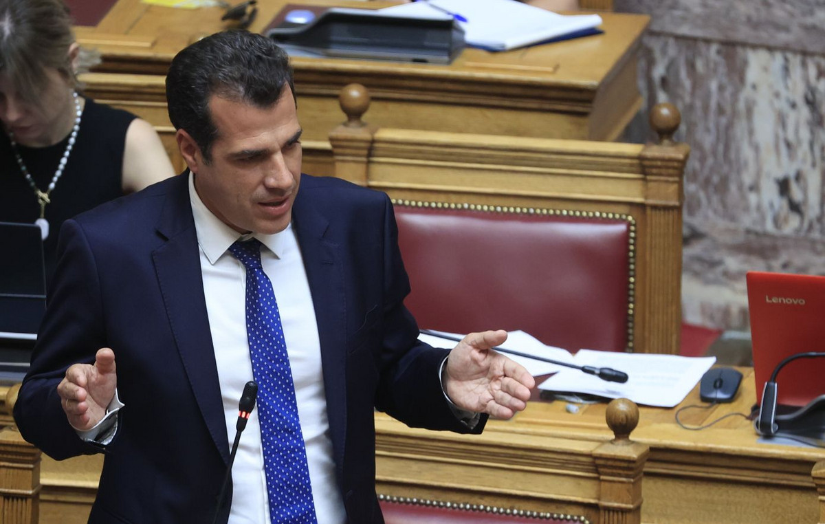 Πλεύρης στο BBC: Για το επόμενο τρίμηνο όποιος θα εισέρχεται παράνομα ...