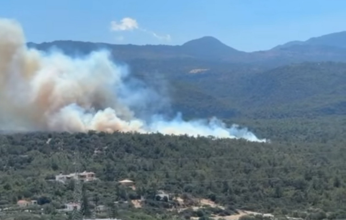 Υπό μερικό έλεγχο η φωτιά στο Βαθύ Λασιθίου – Ήχησε το 112 για ...