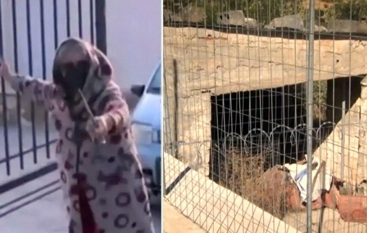 Νέα στοιχεία για την 62χρονη που είχε θάψει τη μητέρα της σε στάβλο ...