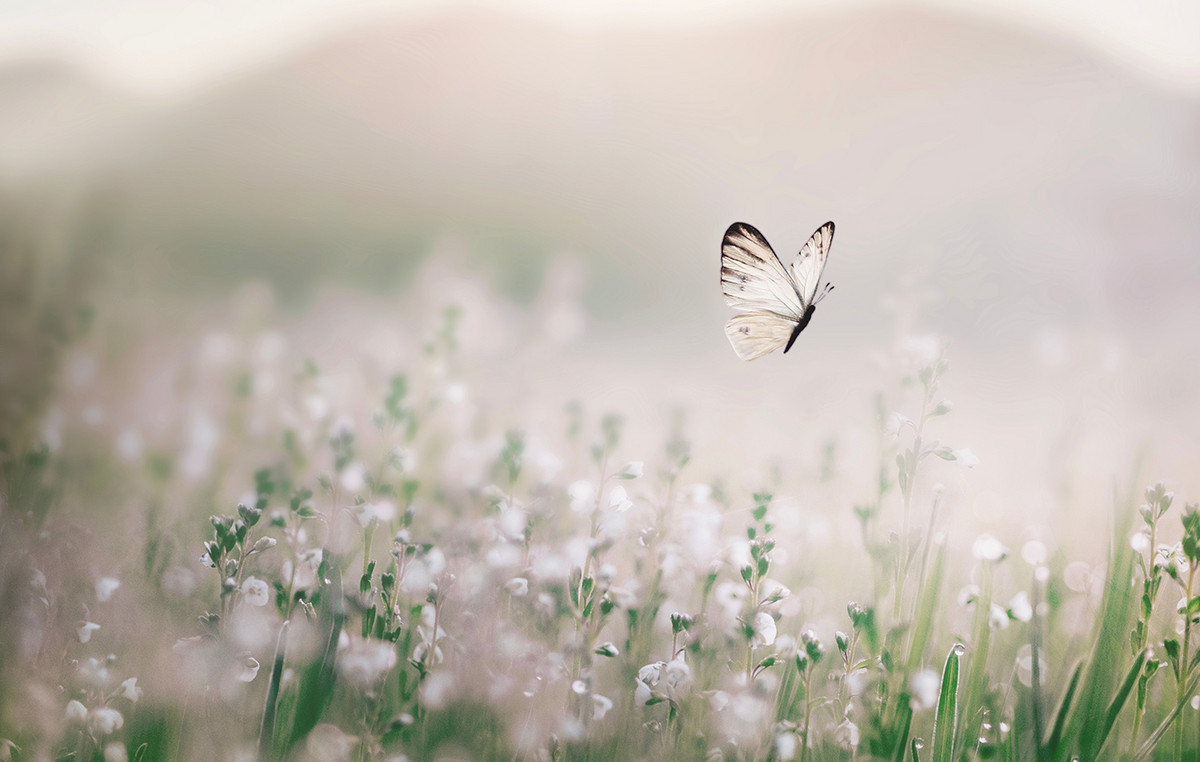 Οι 6 ερωτήσεις που οι ετοιμοθάνατοι μετανιώνουν που δεν απάντησαν ...