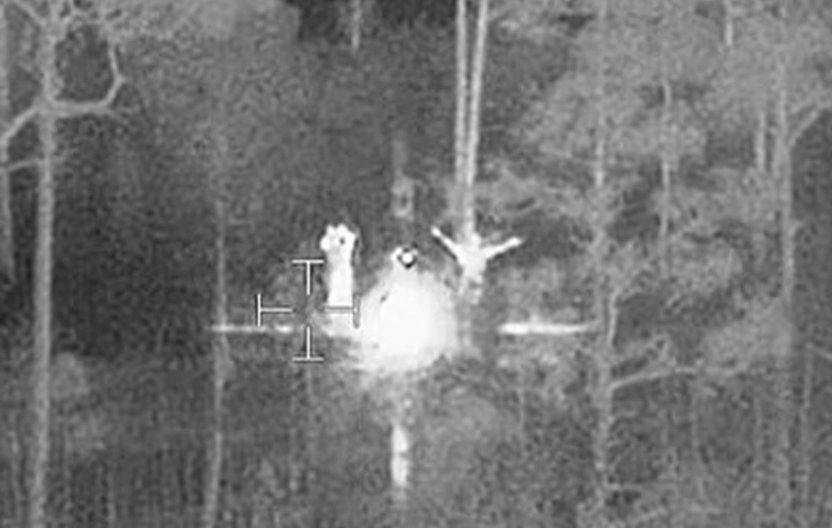 Father and son stranded barefoot in Florida swamp, surrounded by ...