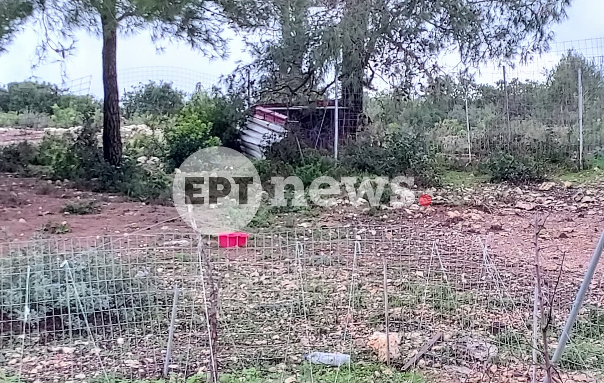 Θρήνος για τον 2χρονο που πέθανε από επίθεση πίτμπουλ στη Ζάκυνθο – Δύο ...