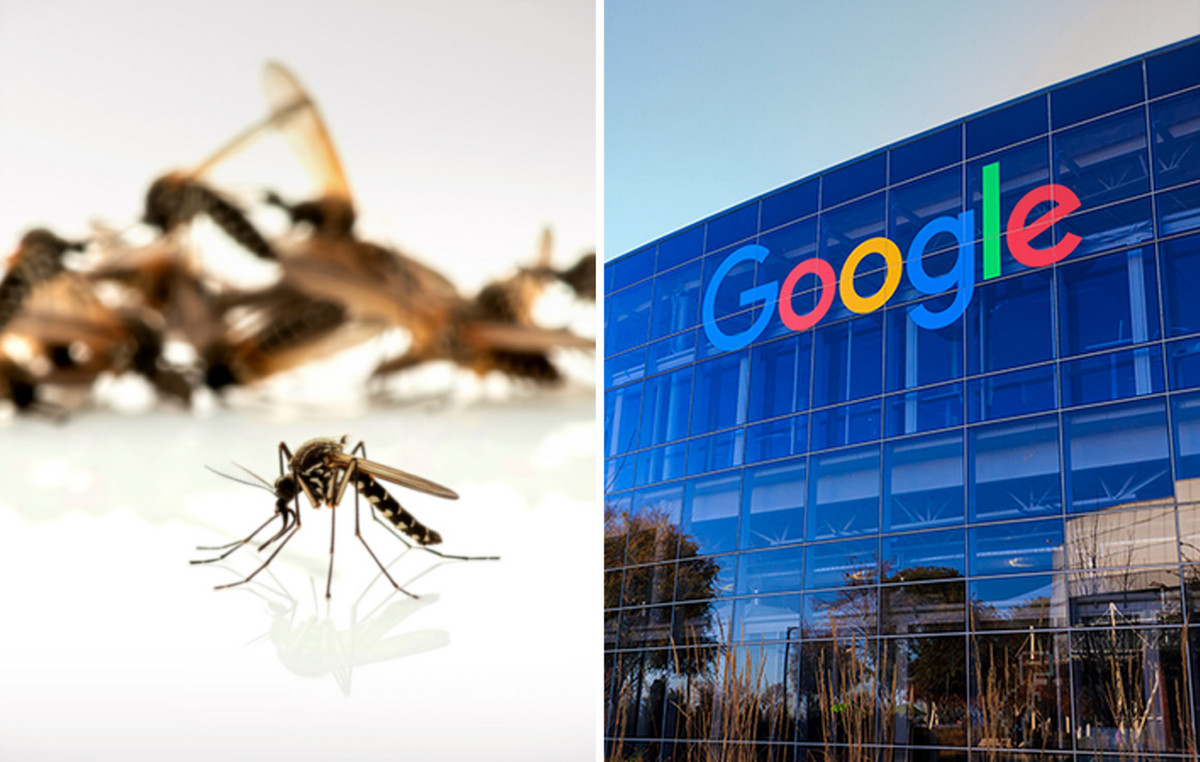 Σάλος με σχέδιο της Google να απελευθερώσει 64 εκατ. μολυσμένα ...